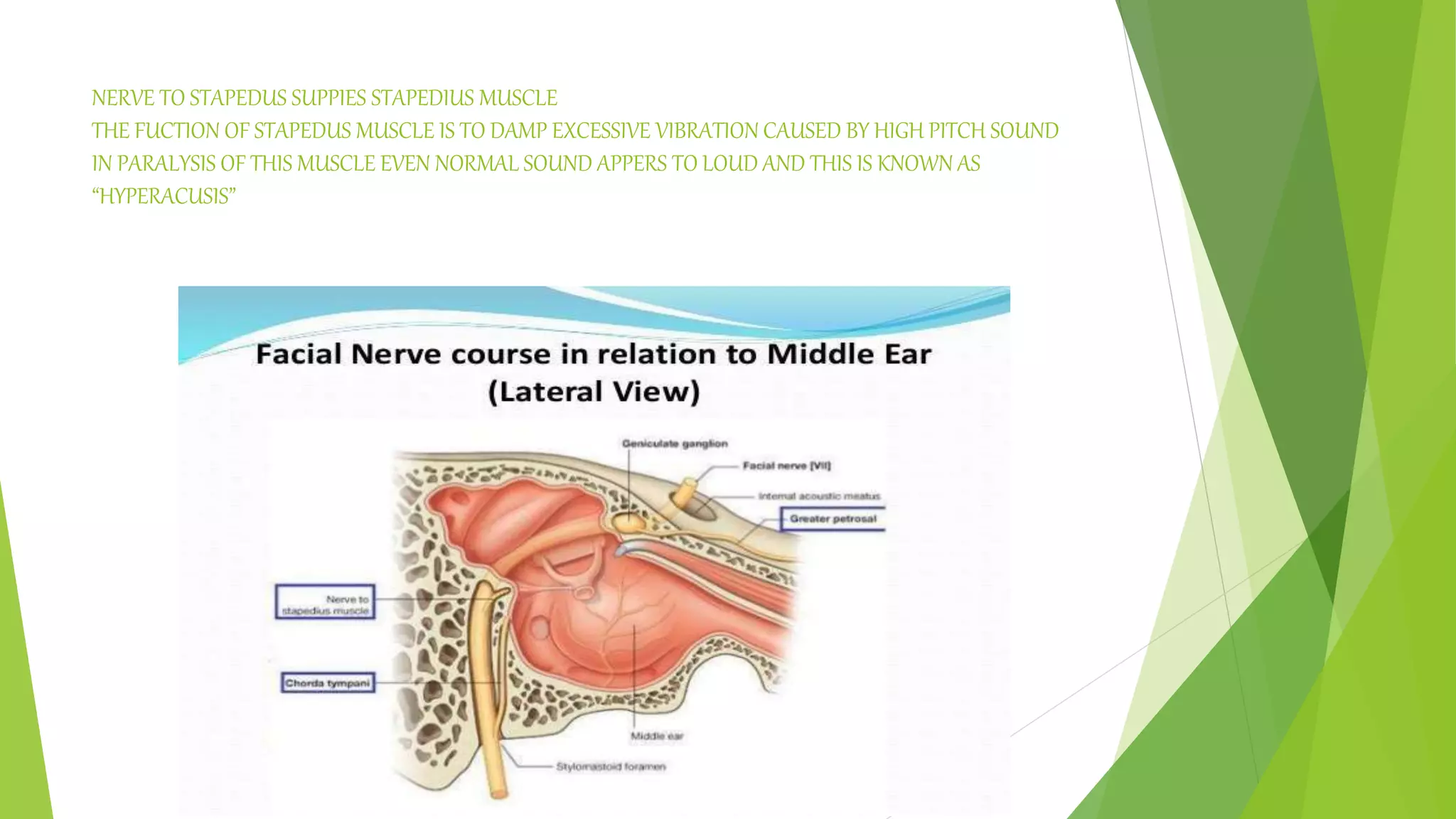 SURICAL ANATOMY OF FACIAL NERVE | PPTX