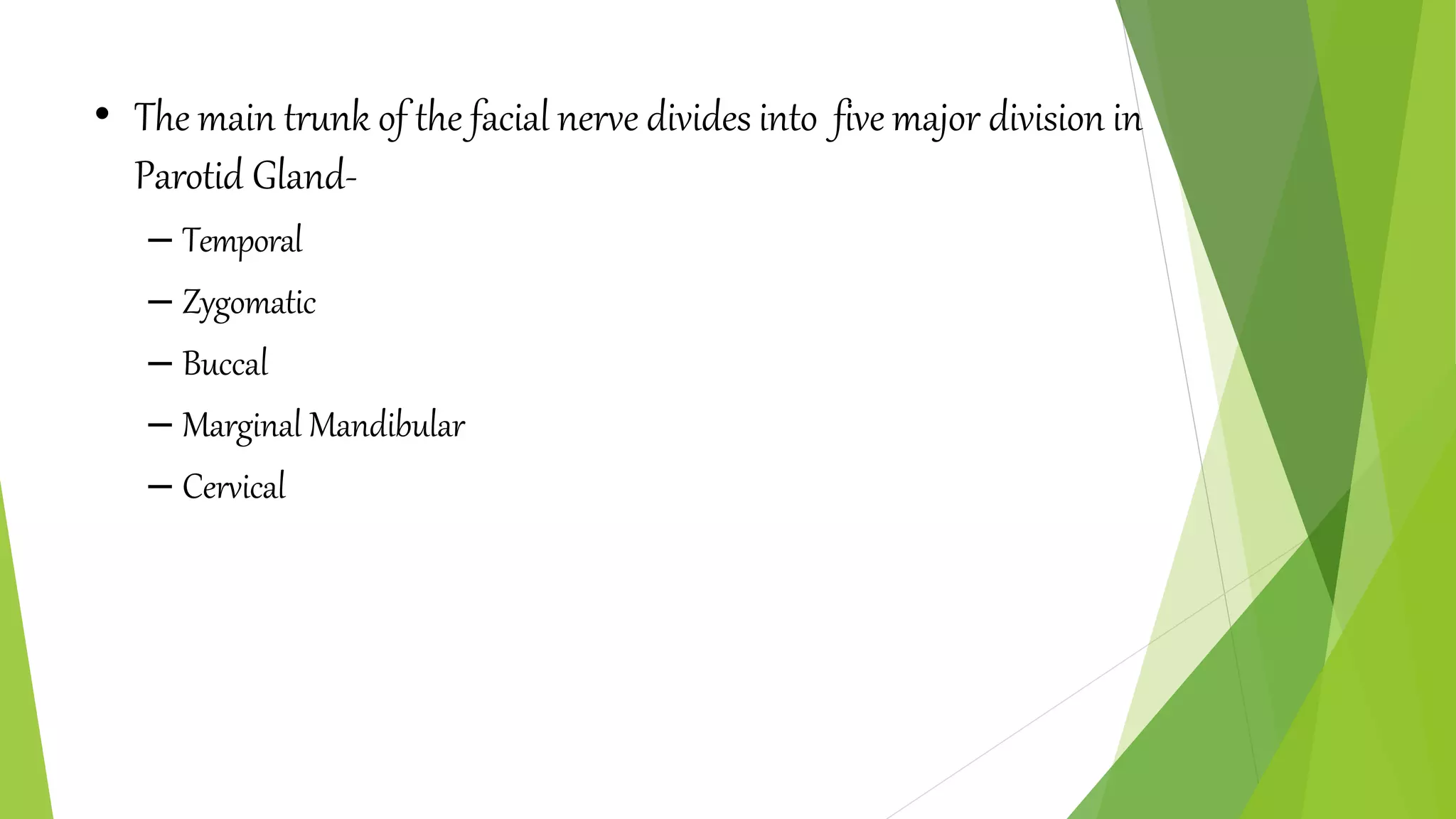 SURICAL ANATOMY OF FACIAL NERVE | PPTX