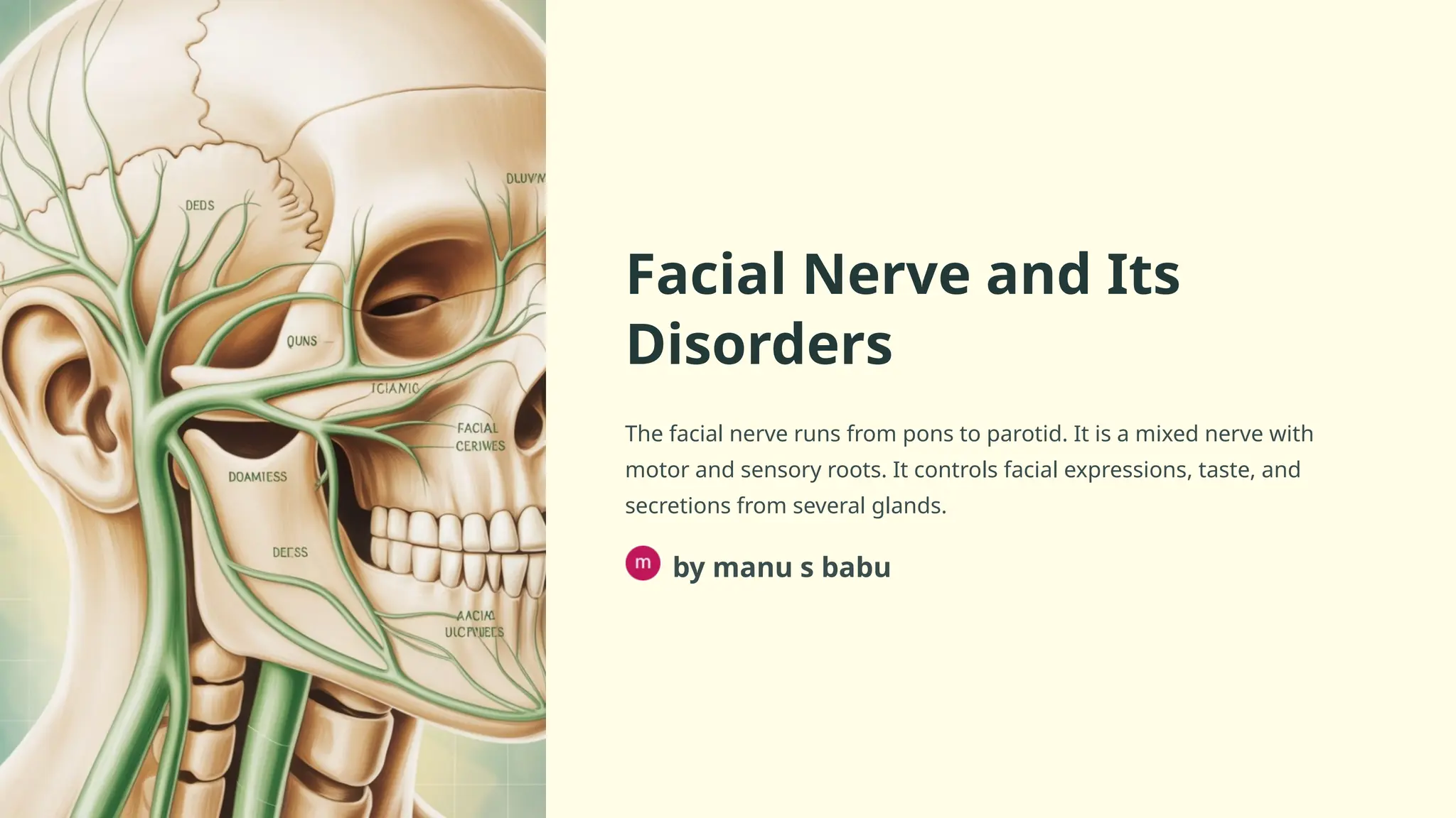 Facial-Nerve-and-Its-Disorders in practice | PPTX