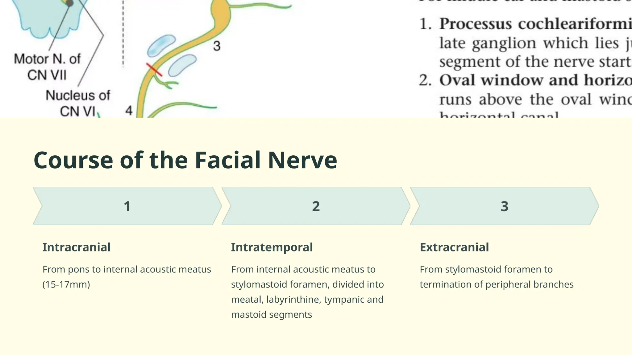 Facial-Nerve-and-Its-Disorders in practice | PPTX