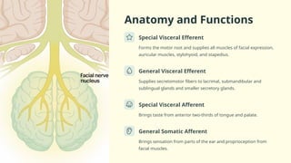 Facial-Nerve-and-Its-Disorders in practice | PPTX