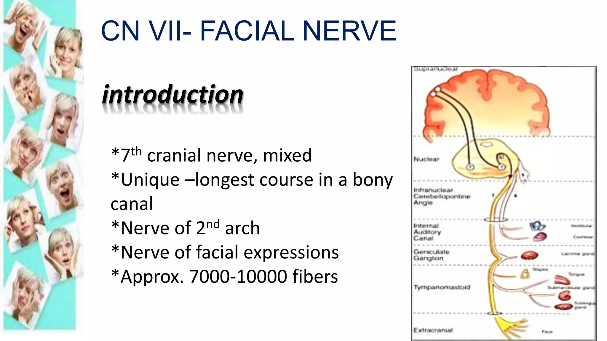 Facial nerve paralysis | PPSX
