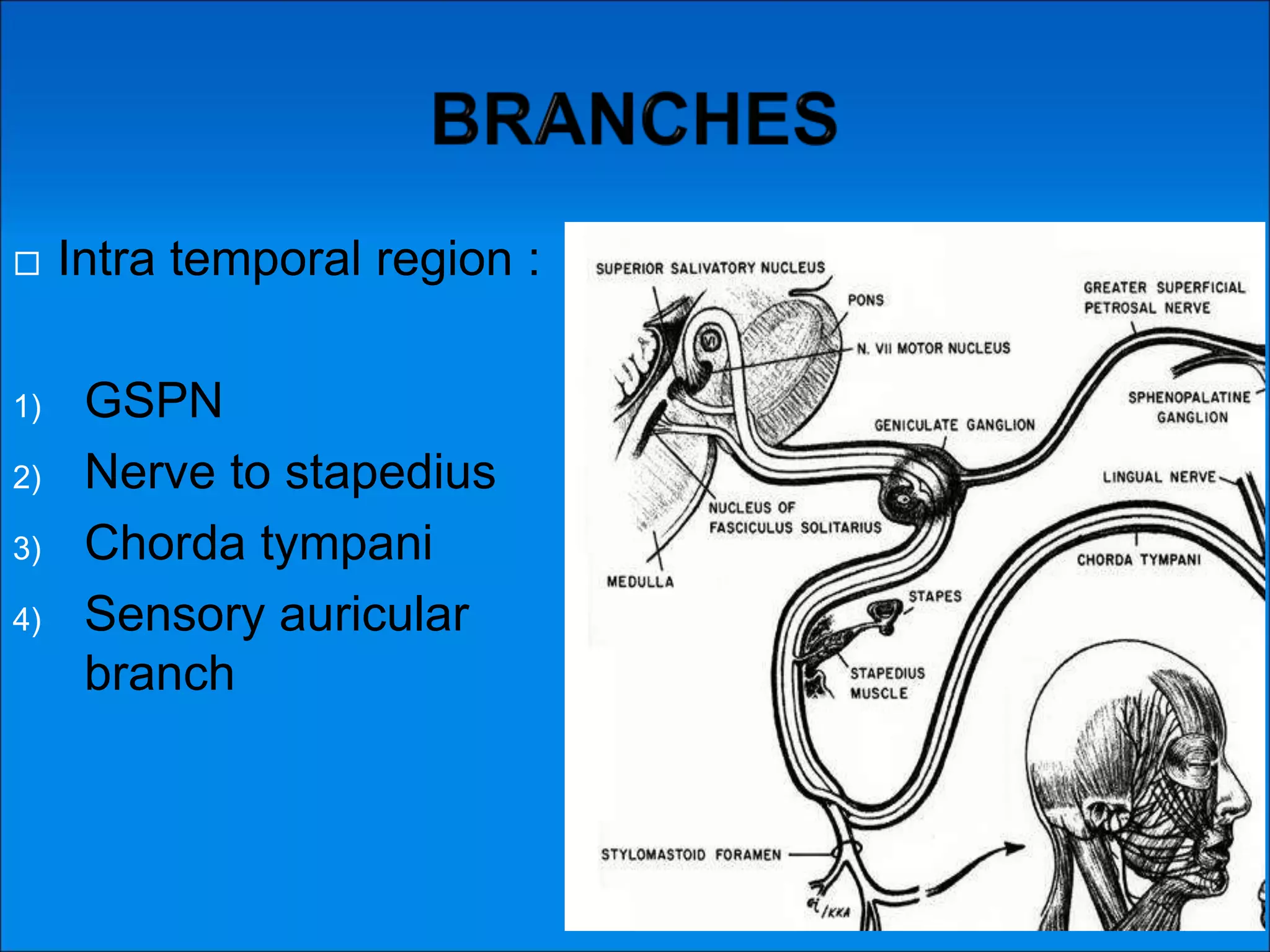 facial-nerve-paralysis.ppt