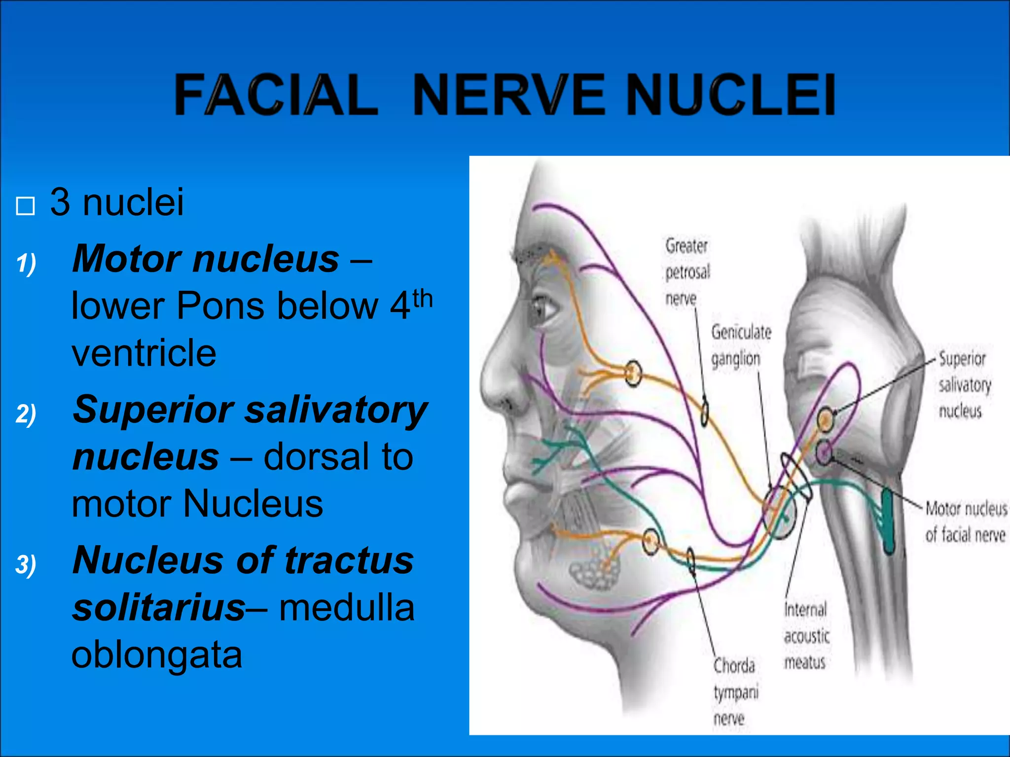 facial-nerve-paralysis.ppt