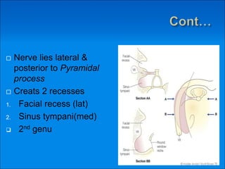 facial-nerve-paralysis.ppt
