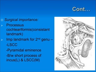 facial-nerve-paralysis.ppt