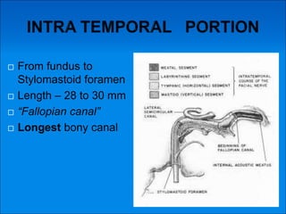 facial-nerve-paralysis.ppt