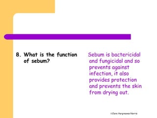 Facial skin structure | PPT