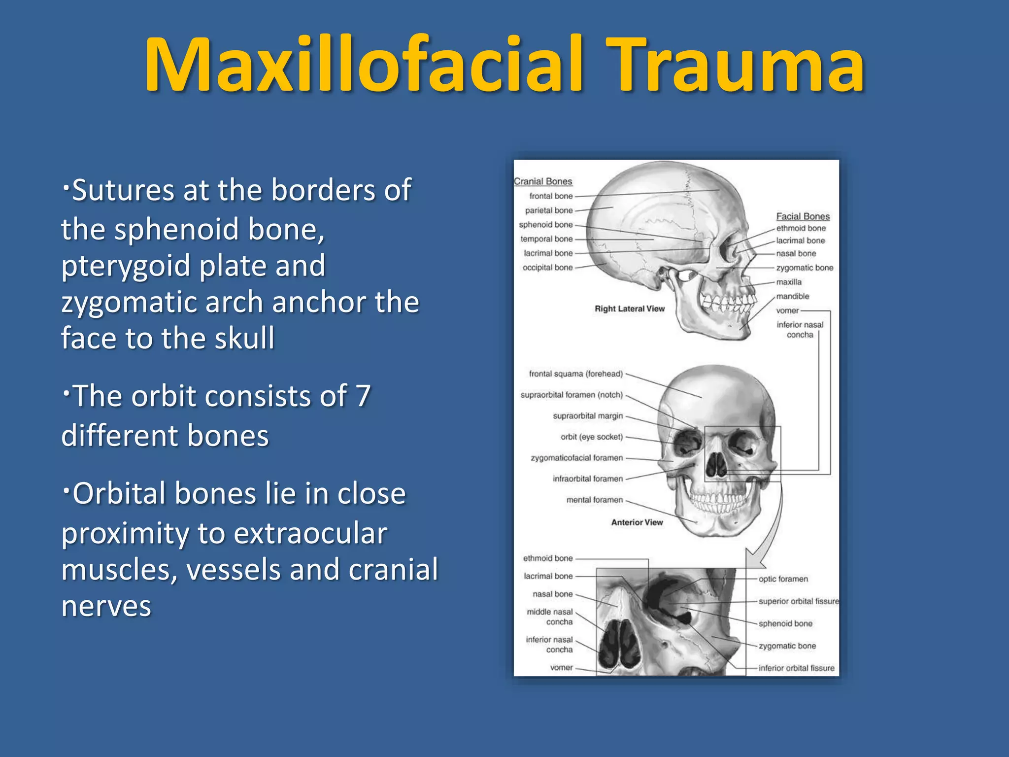 Facial-Trauma-Presentation.pptx