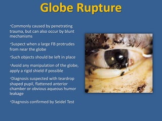Facial-Trauma-Presentation.pptx