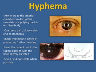 Facial-Trauma-Presentation.pptx