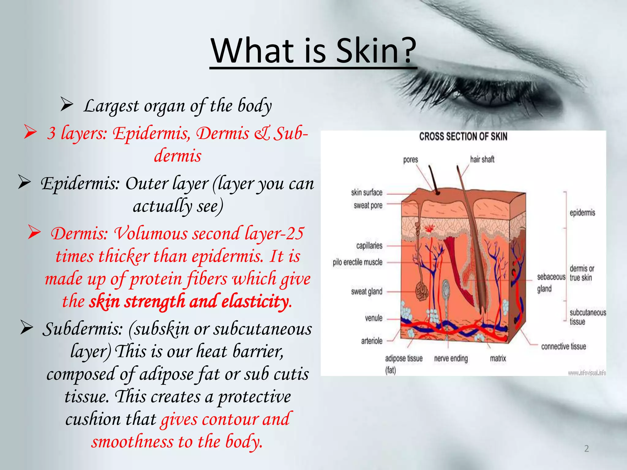 Facial aesthetics 45th aomsi blore | PPT