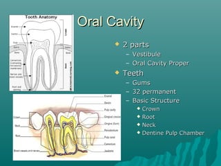 Facial anatomy | PPT