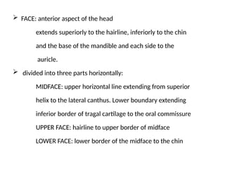 FACIAL ANATOMY on the field of medicine and surgery | PPT