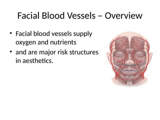 facial anatomy, muscles, bones, blood vessels | PPTX