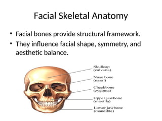 facial anatomy, muscles, bones, blood vessels | PPTX