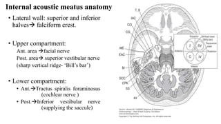 Facial and Hearing Preservation in Acoustic Neuroma Surgery | PPTX