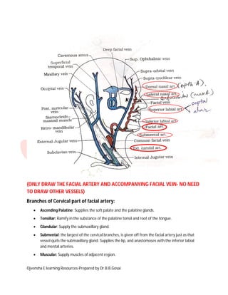 Facial artery dr gosai | PDF
