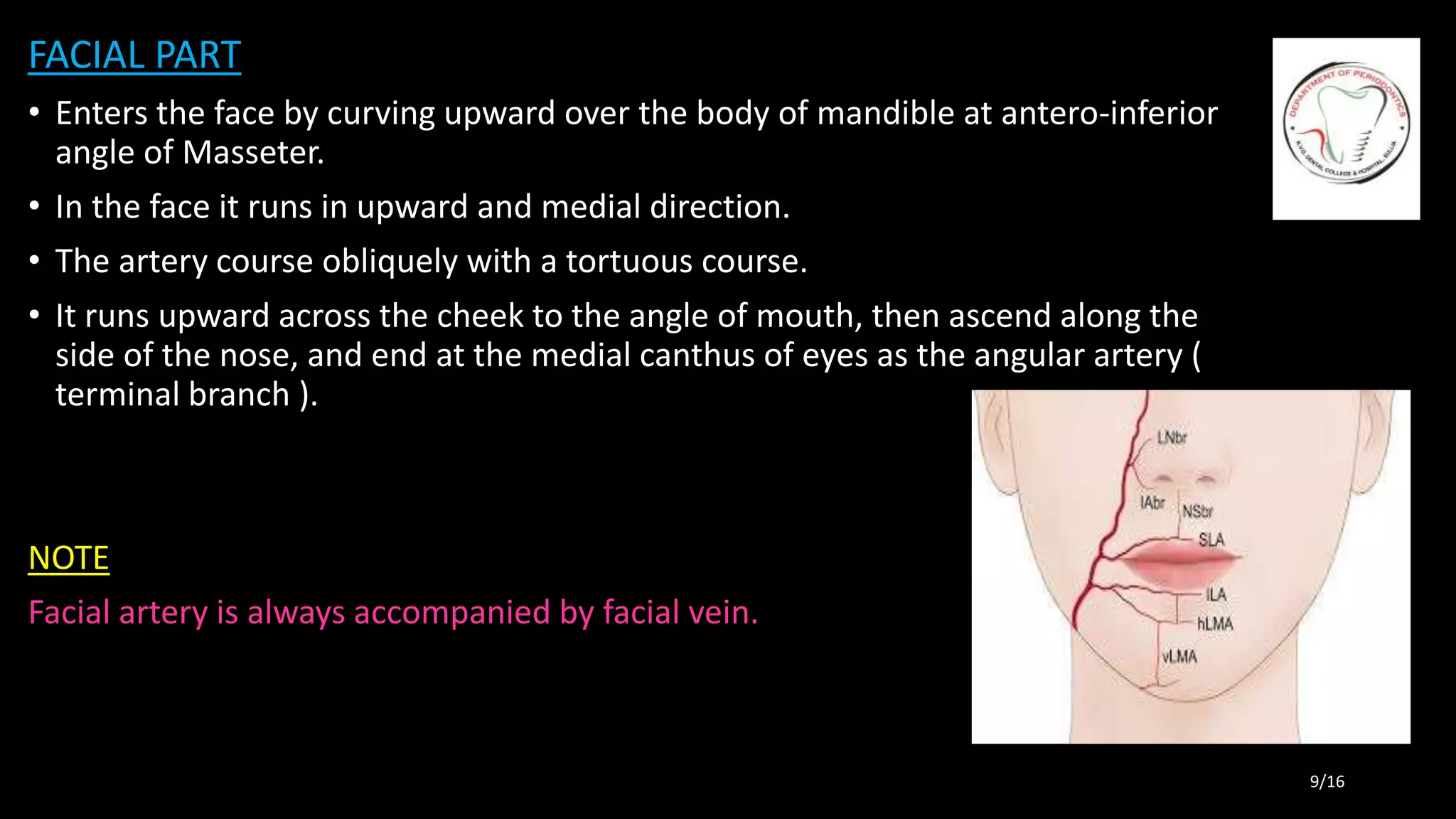 Facial artery seminar | PPTX