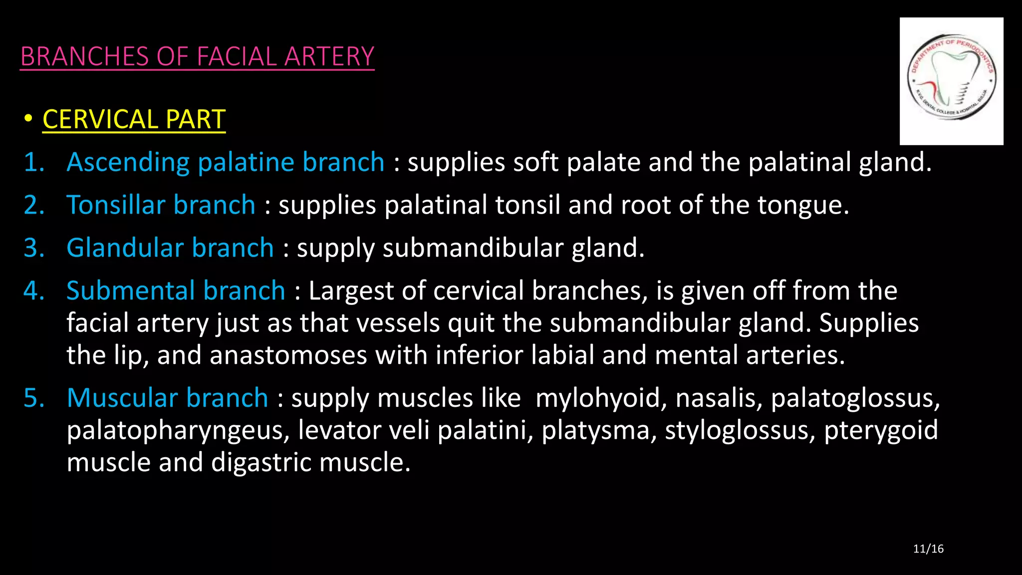 Facial artery seminar | PPTX