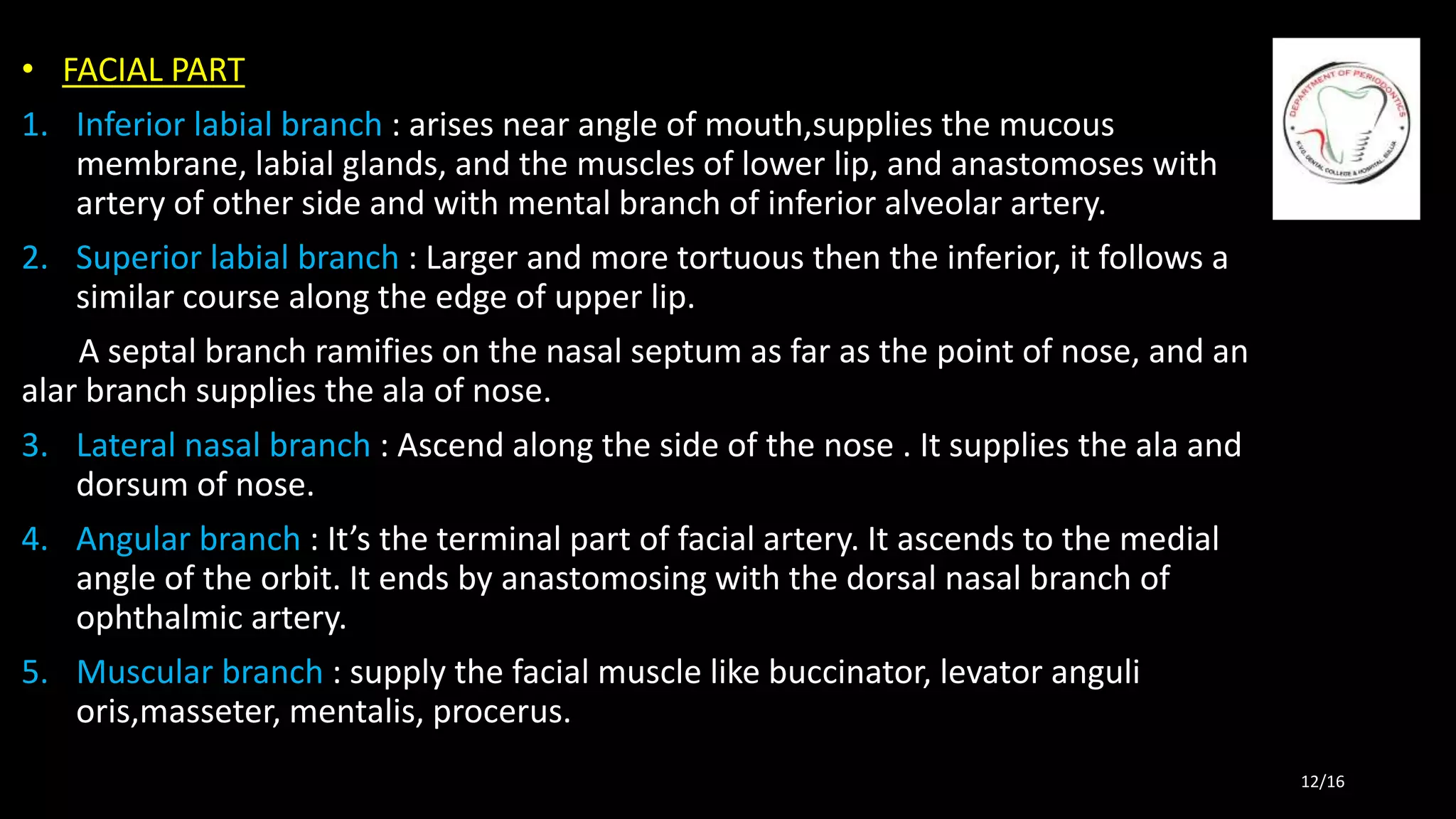 Facial artery seminar | PPTX