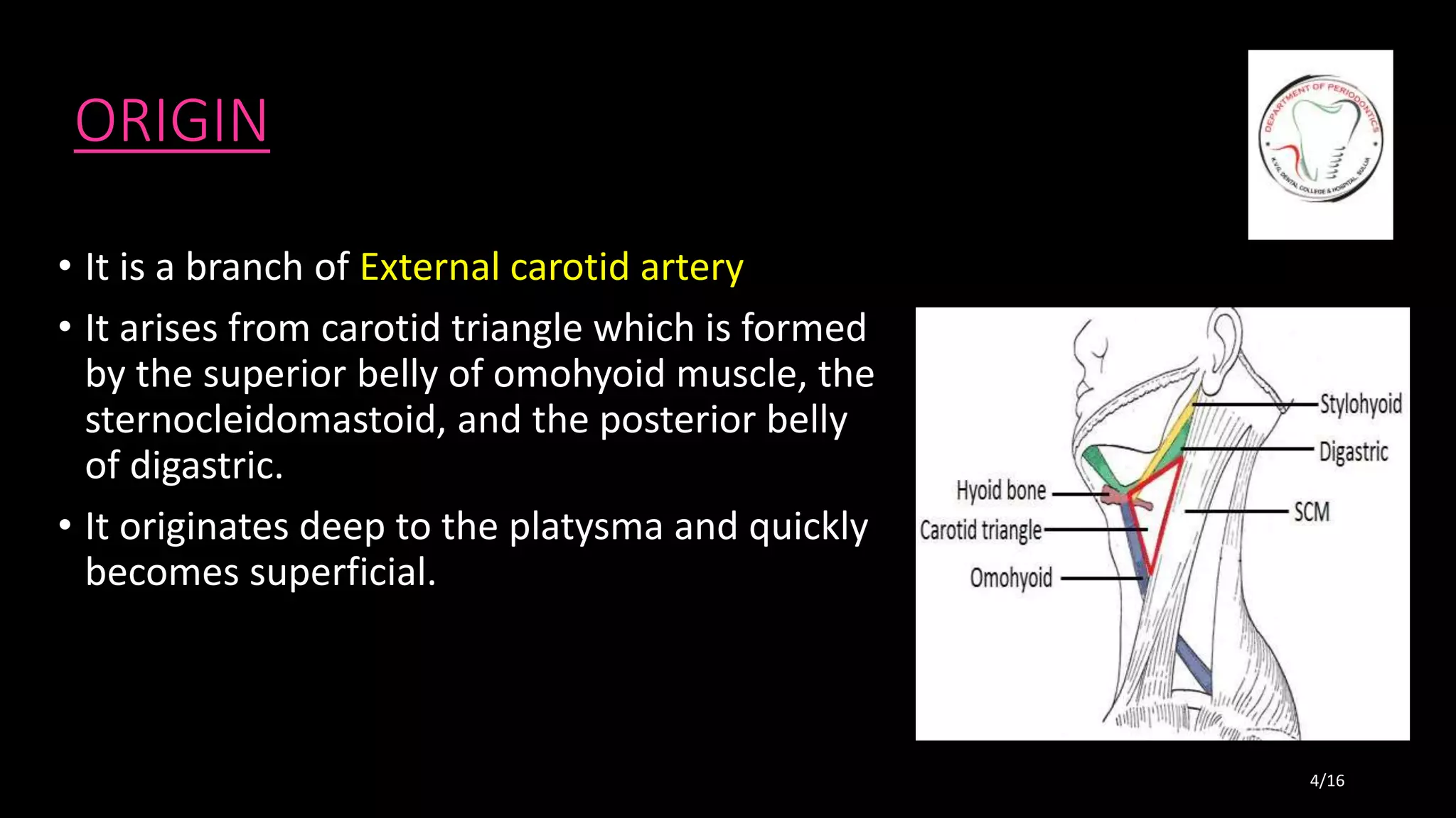 Facial artery seminar | PPTX