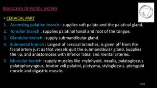 Facial artery seminar | PPTX | Ear, Nose and Throat Conditions ...