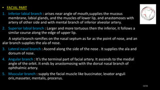 Facial artery seminar | PPTX | Ear, Nose and Throat Conditions ...