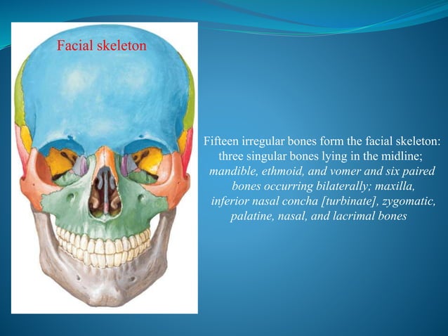 Facial bone fractures an overview | PPT