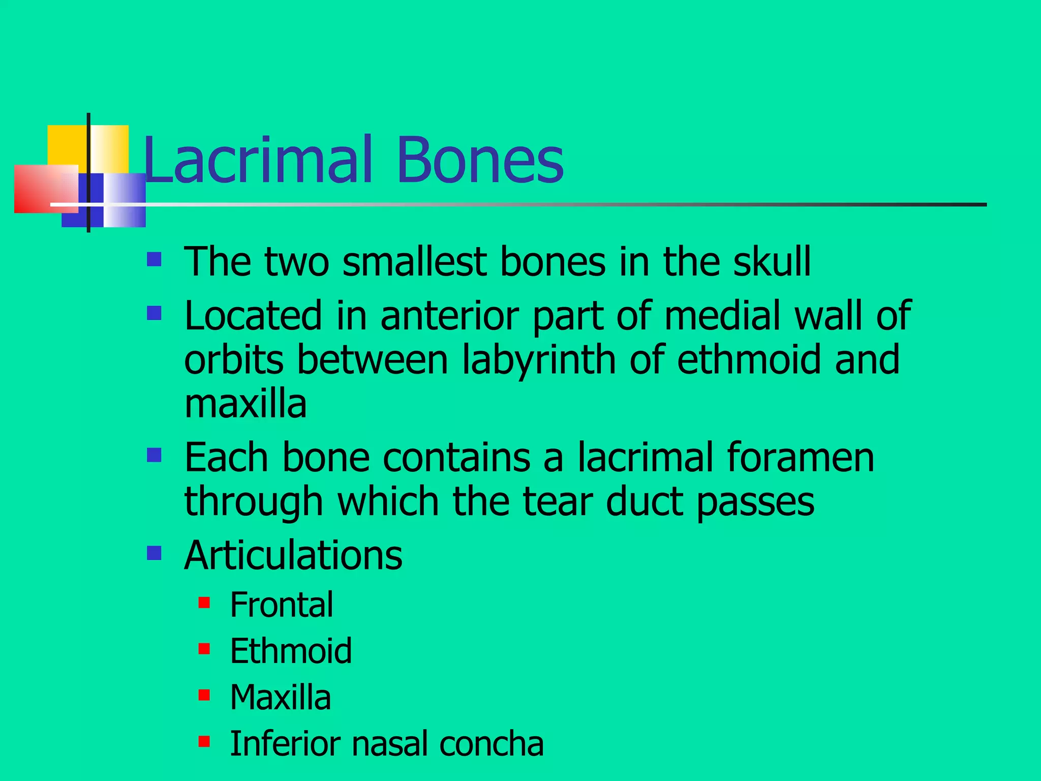 Facial Bones09slideshate | PPT