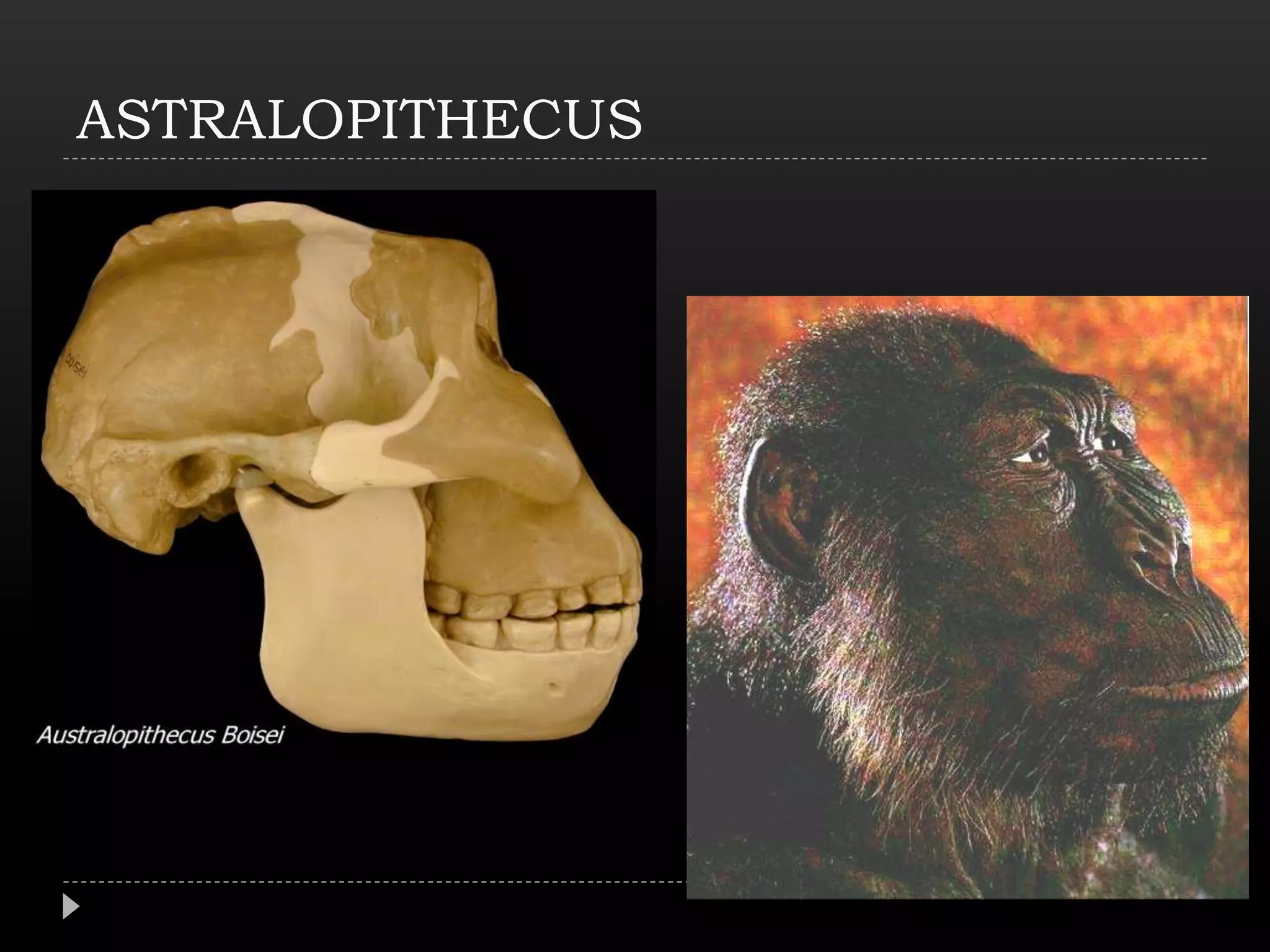 FACIAL ESTHETIC SURGERY.pptx