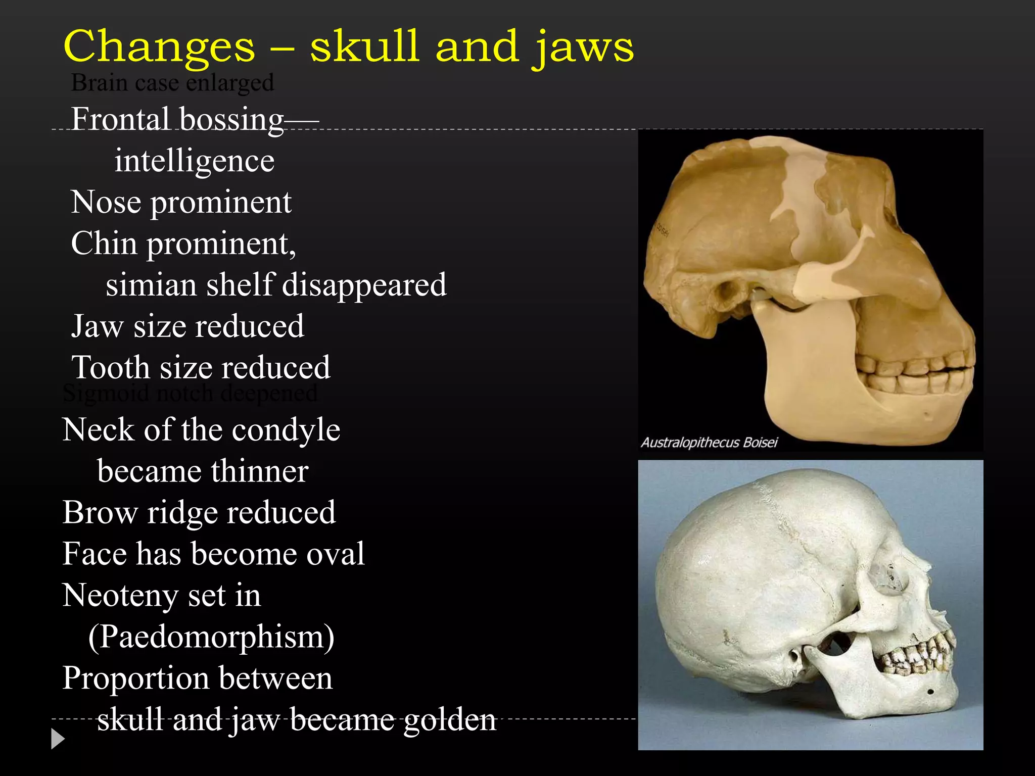 FACIAL ESTHETIC SURGERY.pptx