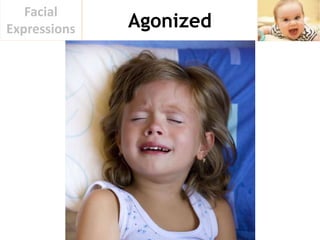 Facial Expressions | PPTX