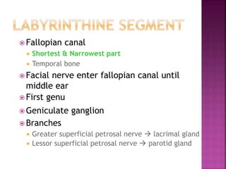 FACIAL NERVE | PPTX