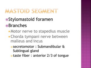 FACIAL NERVE | PPTX