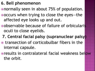 FACIAL NERVE | PPTX