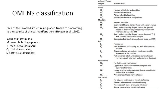 Facial growth and development