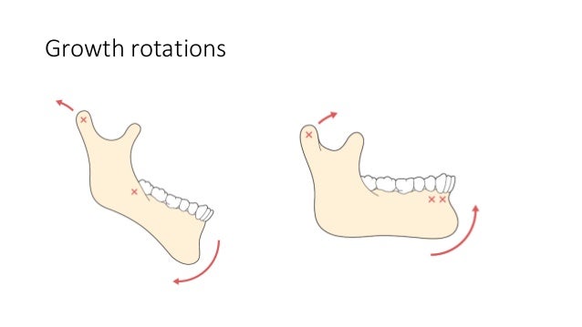 Facial growth and development