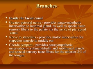 презентация Facialis | PPT