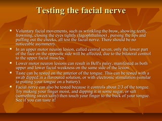 презентация Facialis | PPT