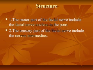 презентация Facialis | PPT