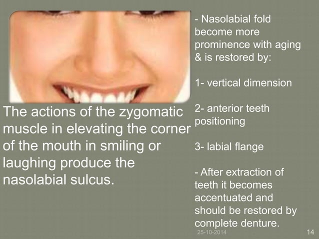 Facial landmarks & its role in prosthodontics | PPTX | Ear, Nose and ...