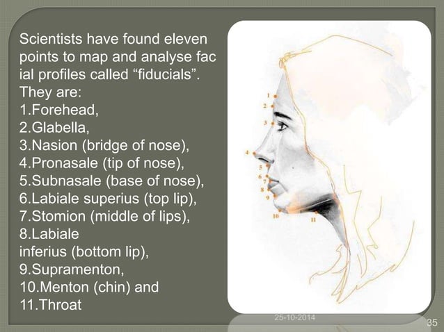 Facial landmarks & its role in prosthodontics | PPTX | Ear, Nose and ...