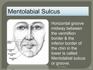 Facial landmarks & its role in prosthodontics | PPT