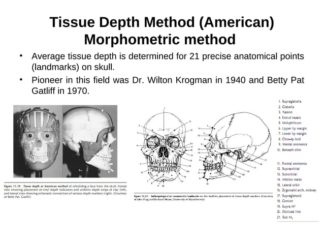 forensic facial reconstruction