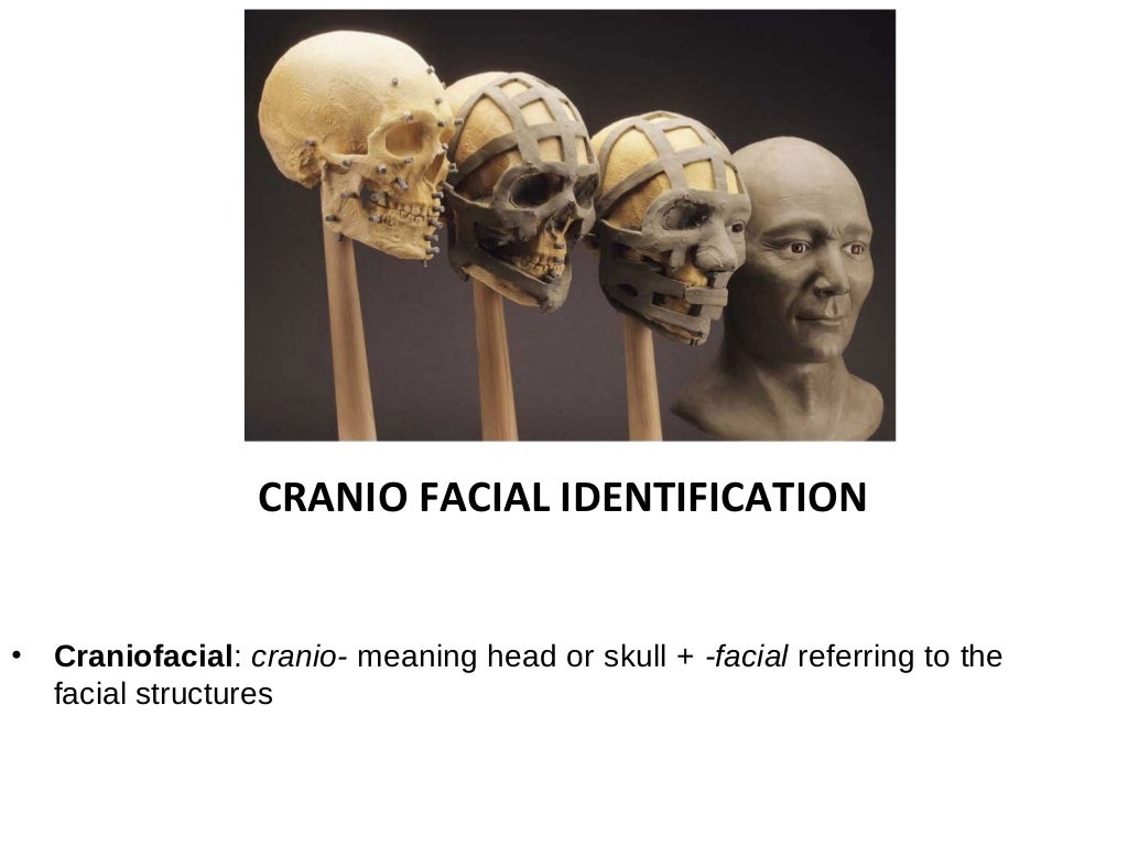 forensic facial reconstruction