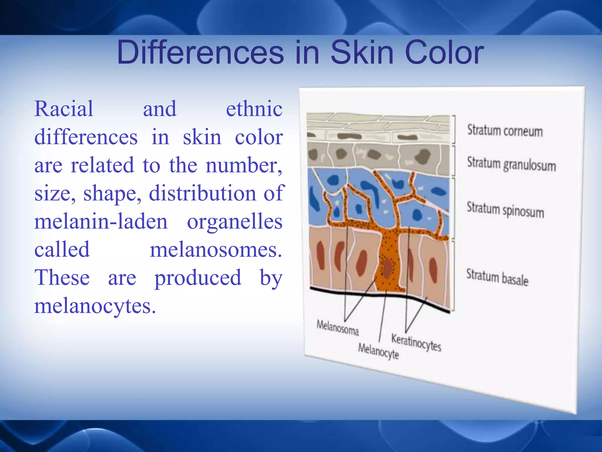 Facial melanoses | PPTX