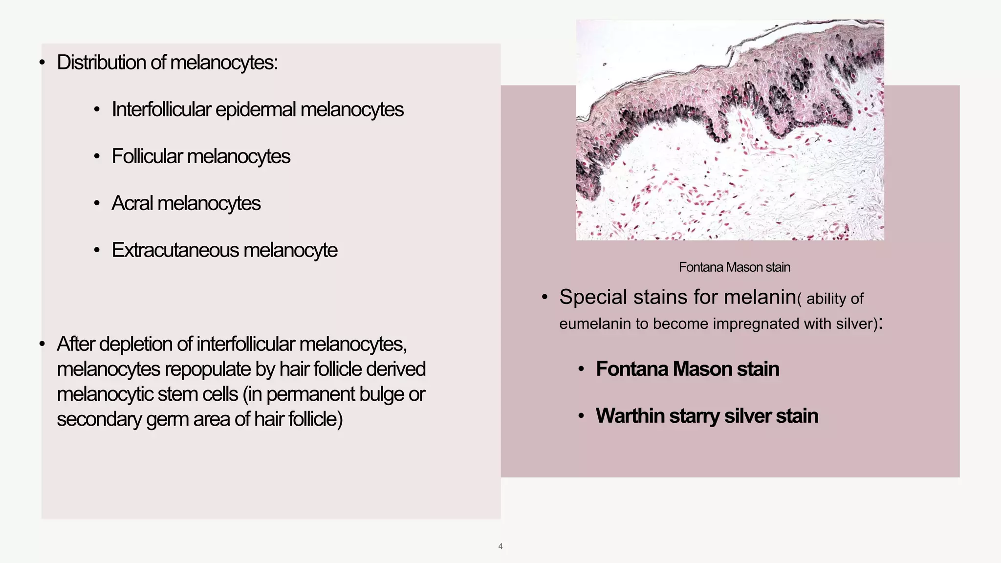 Facial Melanosis.pptx