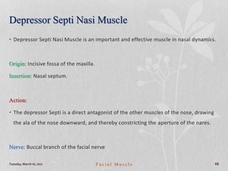 Facial Muscle | PPTX | Ear, Nose and Throat Conditions | Diseases and ...