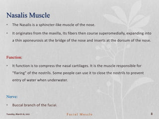 Facial Muscle | PPTX | Ear, Nose and Throat Conditions | Diseases and ...